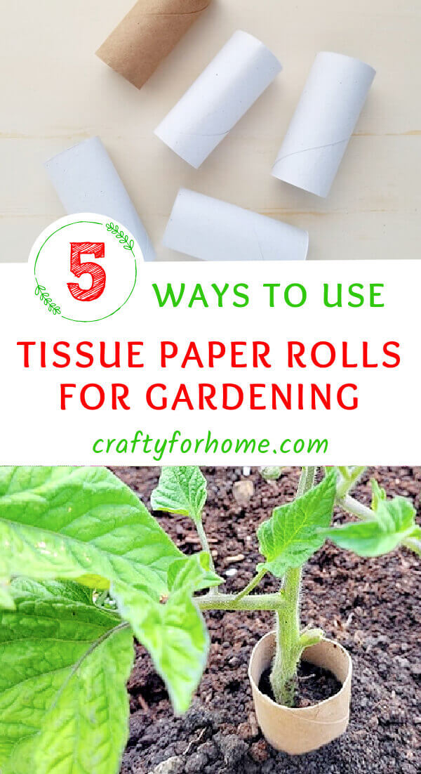 Tissue Paper Roll Tricks For The Garden | Crafty For Home