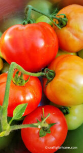 Fish Emulsion For Tomato Fertilizer | Crafty For Home